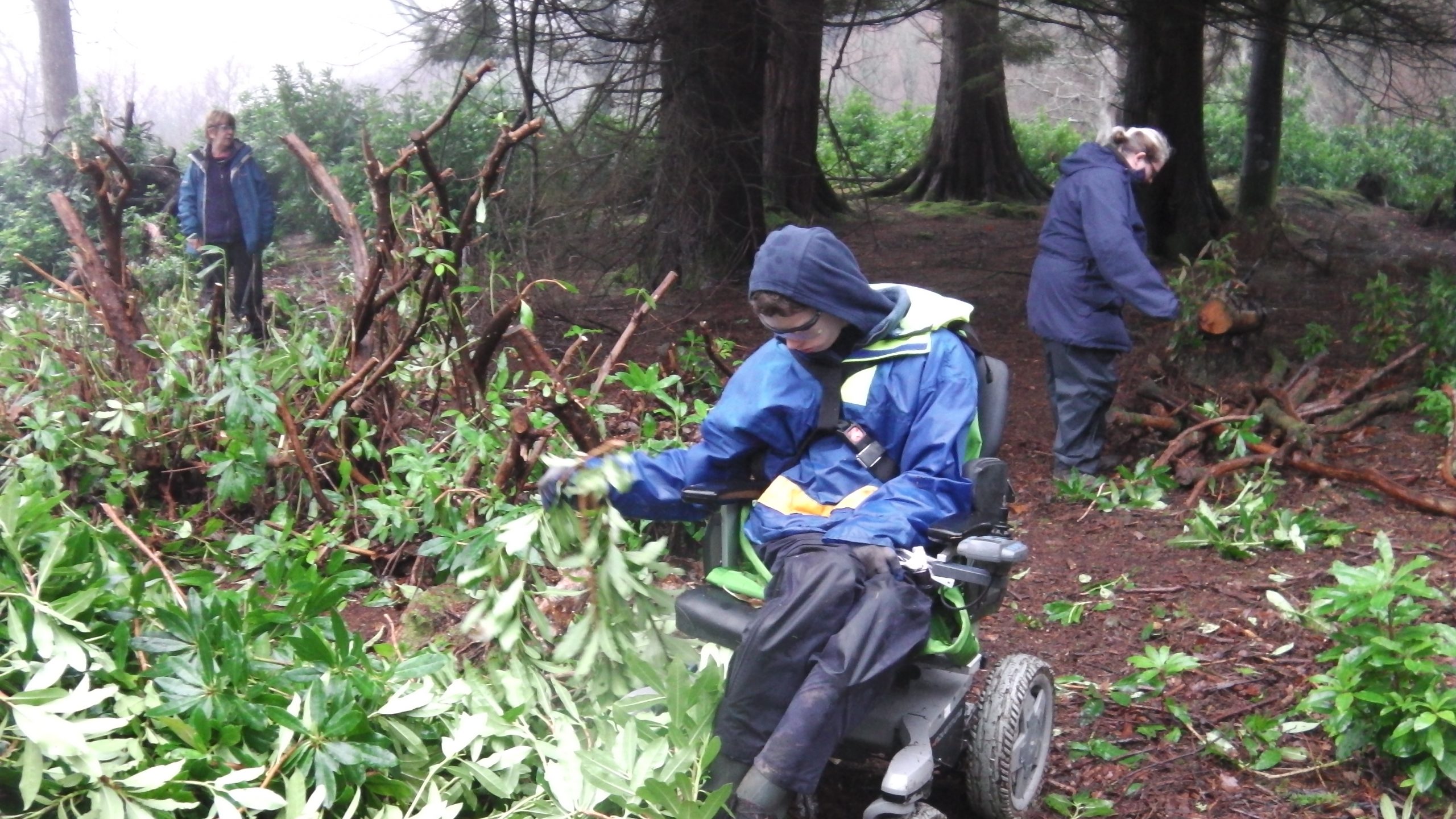 Conservation – Arran Outdoor